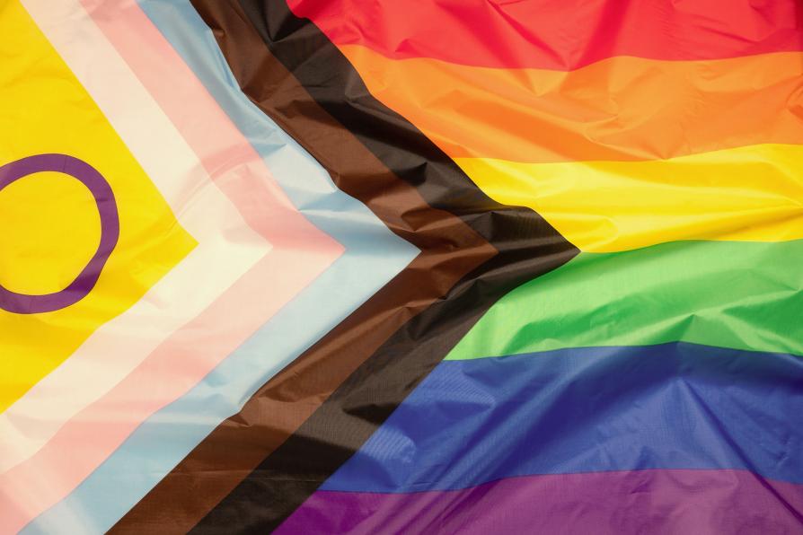 LGBTQ+ Leadership Program: Leading with Pride | Harvard University