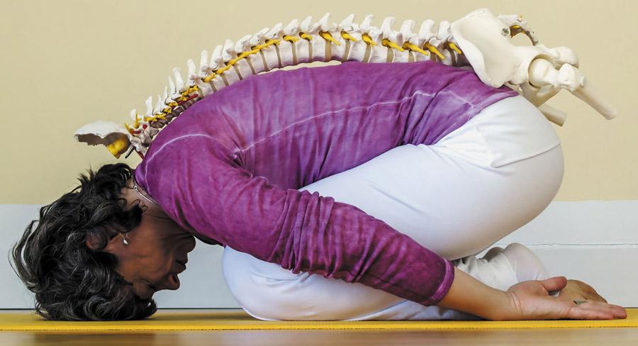 Back Pain: Finding Solutions for Your Aching Back | Harvard University