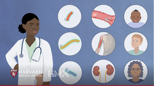 Gene Therapy | Harvard University