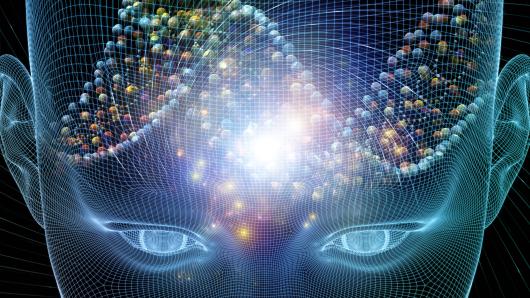 Psychology Courses | Harvard University