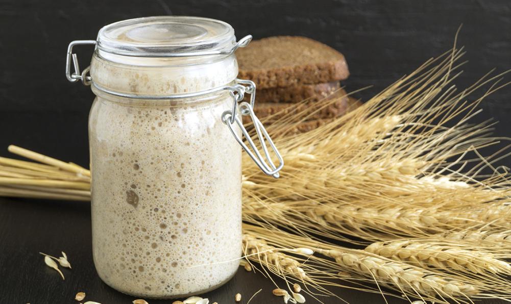 Food Fermentation: The Science of Cooking with Microbes | Harvard ...