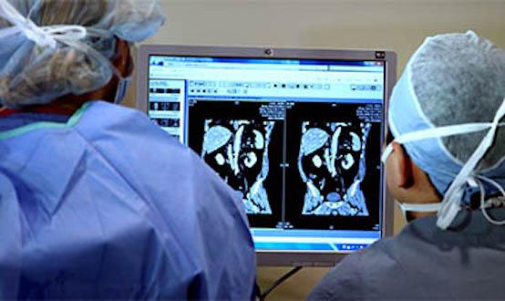 Improving Global Health: Focusing on Quality and Safety | Harvard ...