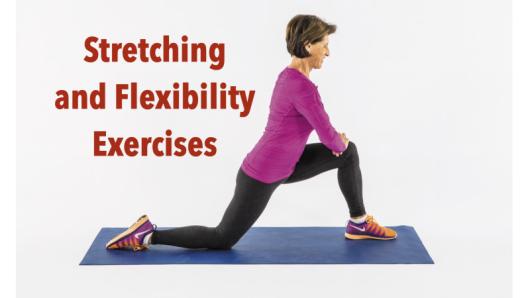 Stretching and Flexibility Exercises | Harvard University